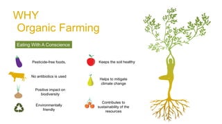Organic food presentation | PPTX