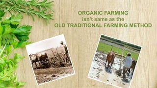 Organic food presentation | PPTX