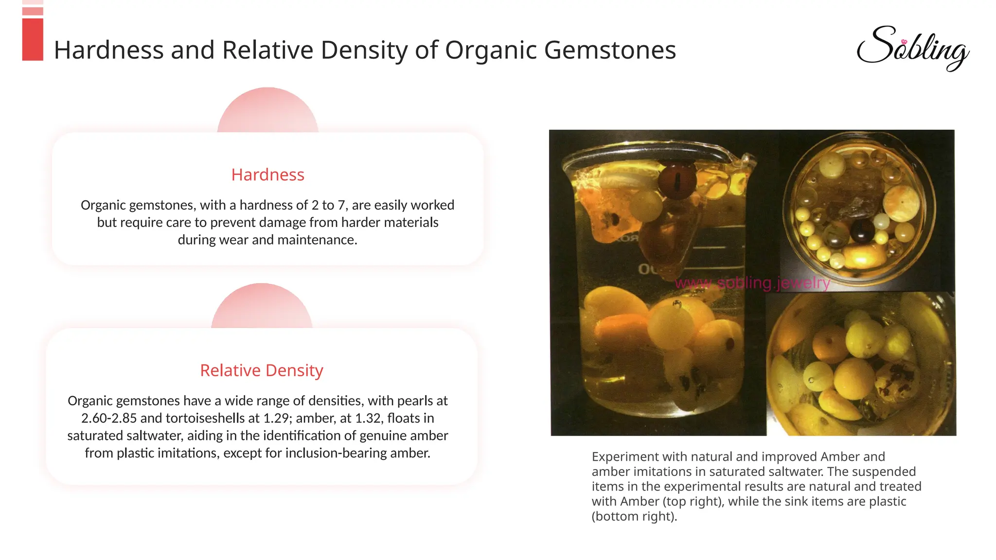 Organic Gemstones - Characters Of Pearl, Jet, Ammonite, MOP, Amber And ...