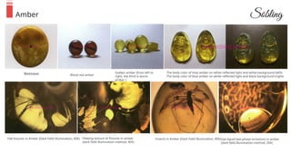 Organic Gemstones - Characters Of Pearl, Jet, Ammonite, MOP, Amber And ...