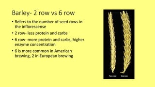 Organic grain production in the south | PPTX | Agriculture | Industries