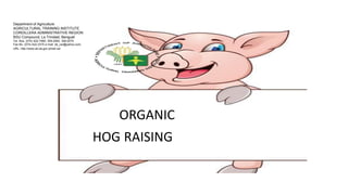 Organic Hogs production and management.pptx