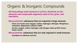 Inorganic Things