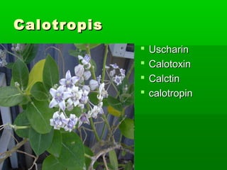 Organic irritant poisoning | PPT