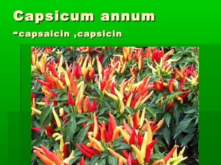 Organic irritant poisoning | PPT