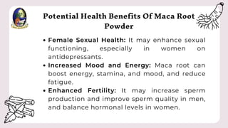 Organic Maca Root Powder Benefits, Side Effects, And Usage ...