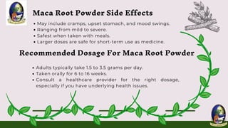 Organic Maca Root Powder Benefits, Side Effects, And Usage ...
