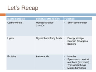 Organic Macromolecules | PPTX