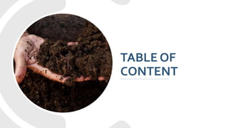 Organic Manure Manufacturing Plant Setup Cost Report 2024.pptx