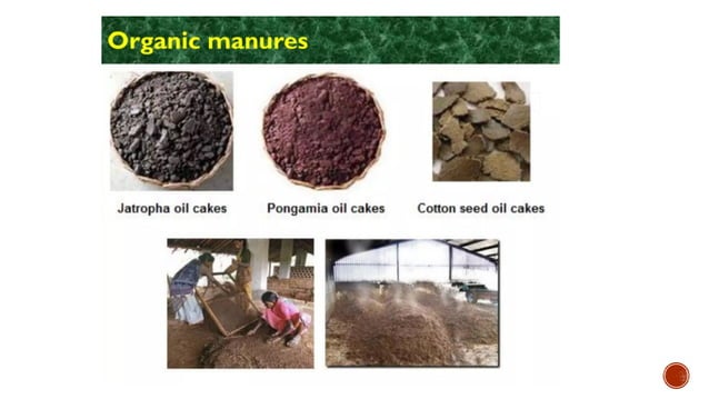 Organic manure introduction, types and production, | PPTX