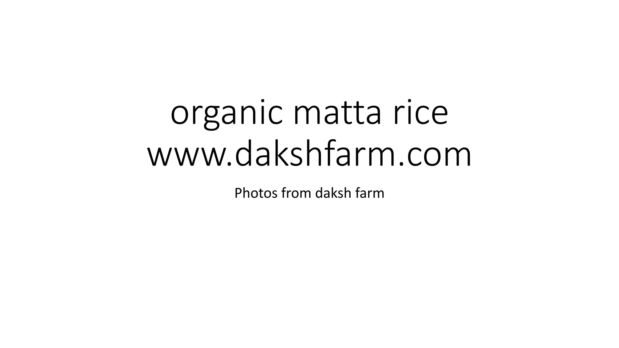 Organic matta rice by daksh farm | PPTX
