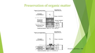 Organic matter | PPTX