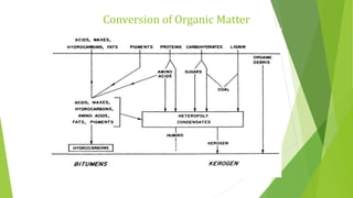 Organic matter | PPTX