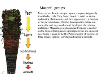 Organic matter | PDF