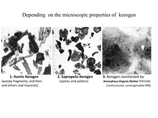 Organic matter | PDF