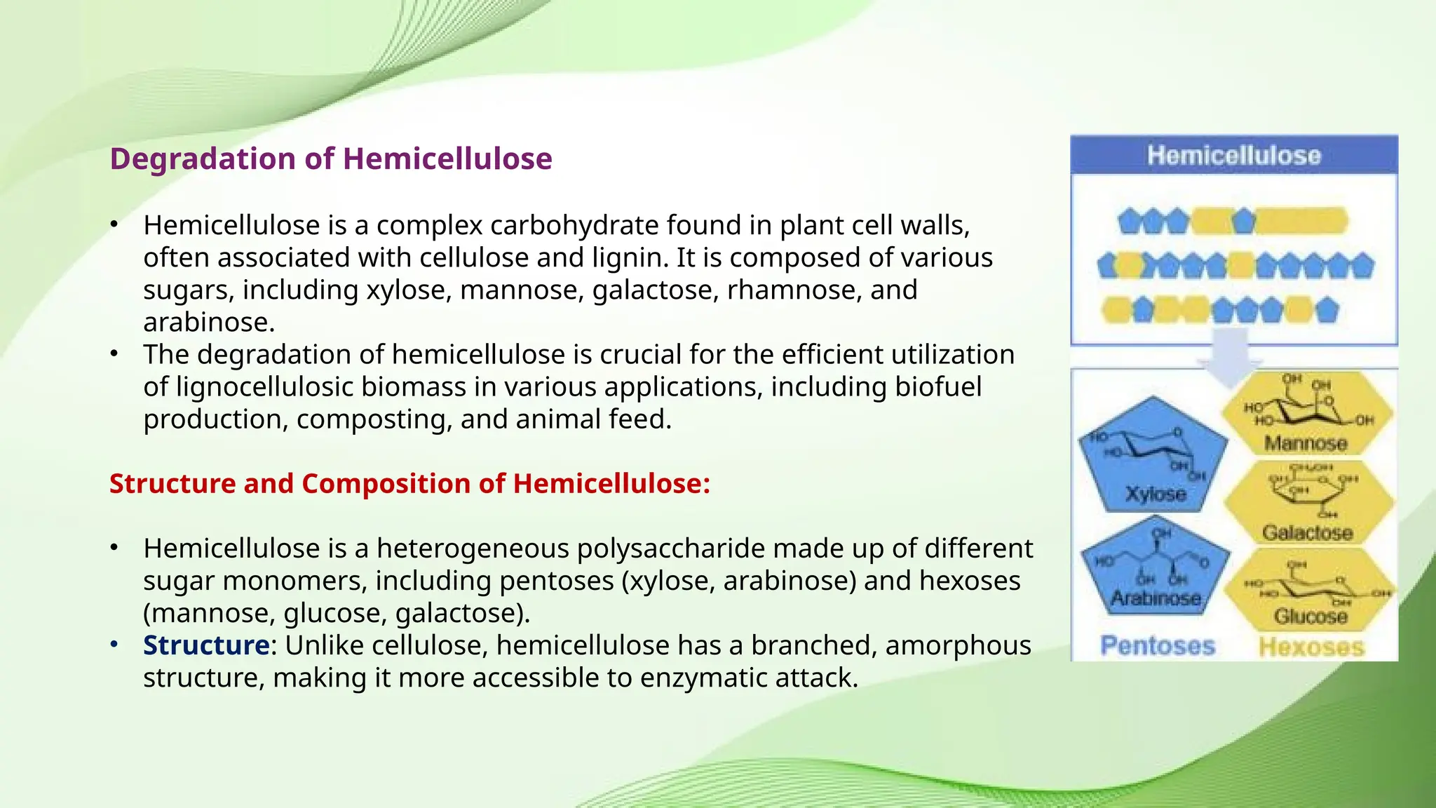 Degradation of Organic Matter -Lignin, Cellulose, Pectin,Hemicellulose | PPTX