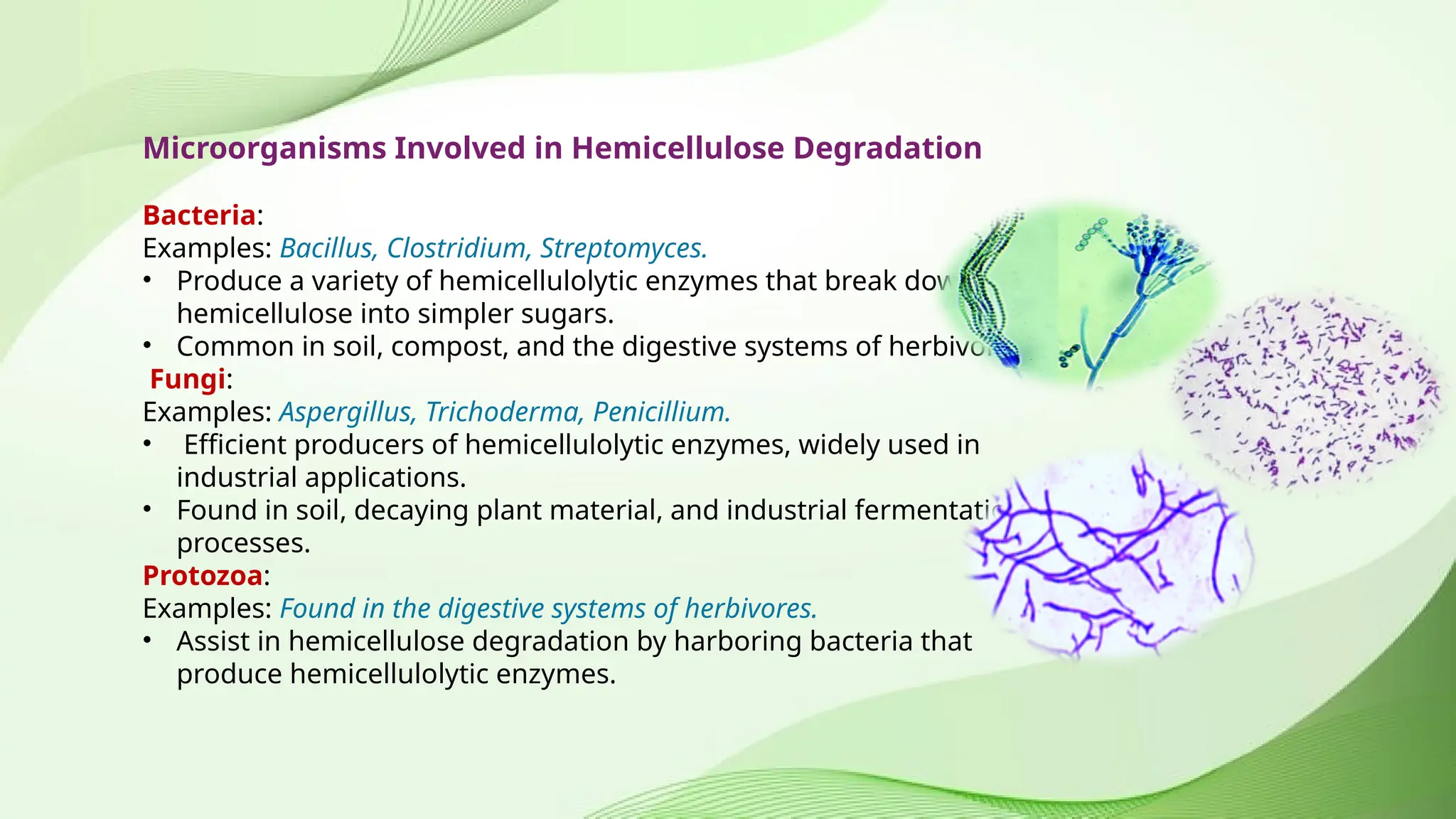 Degradation of Organic Matter -Lignin, Cellulose, Pectin,Hemicellulose ...