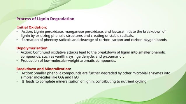 Degradation of Organic Matter -Lignin, Cellulose, Pectin,Hemicellulose ...