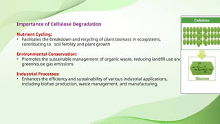 Degradation of Organic Matter -Lignin, Cellulose, Pectin,Hemicellulose ...