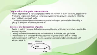 Degradation of Organic Matter -Lignin, Cellulose, Pectin,Hemicellulose ...