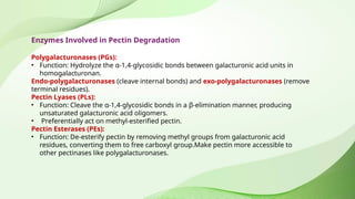 Degradation of Organic Matter -Lignin, Cellulose, Pectin,Hemicellulose ...