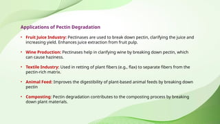 Degradation of Organic Matter -Lignin, Cellulose, Pectin,Hemicellulose ...