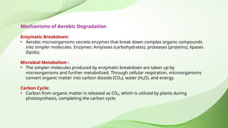 Degradation of Organic Matter -Lignin, Cellulose, Pectin,Hemicellulose ...