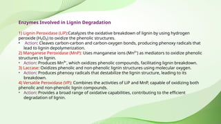 Degradation of Organic Matter -Lignin, Cellulose, Pectin,Hemicellulose ...