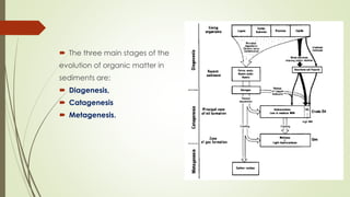 Organic Matter Concepts in Petrogenesis.pdf