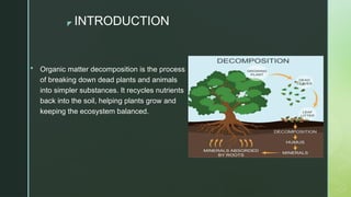 Organic matter and Decomposition....pptx