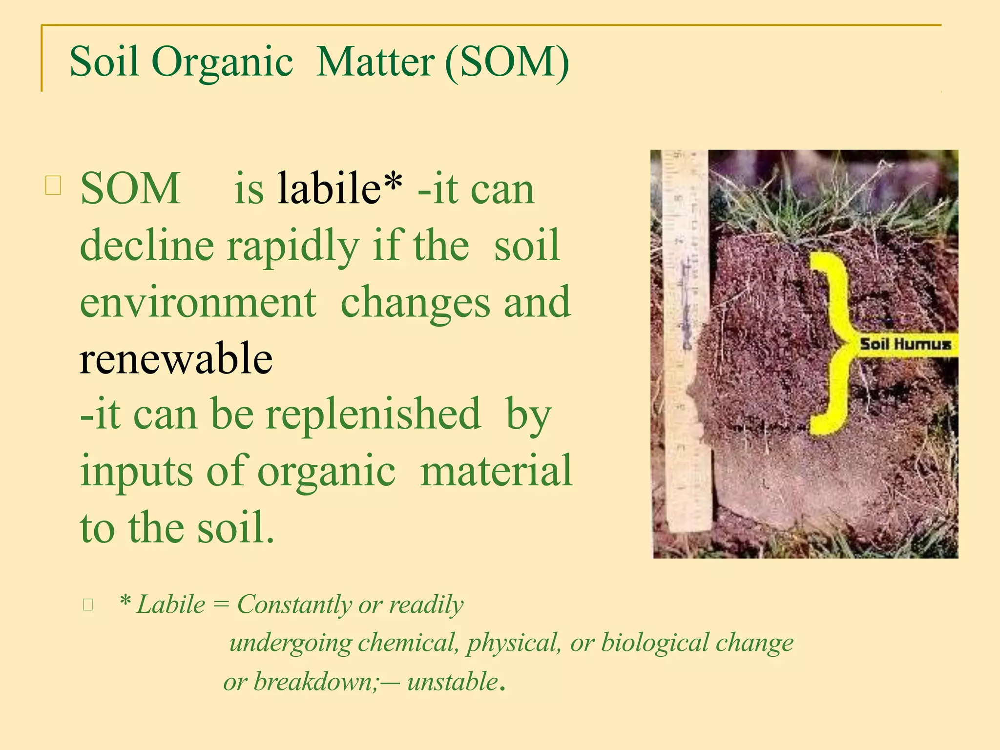 Organic matter in soil | PPTX
