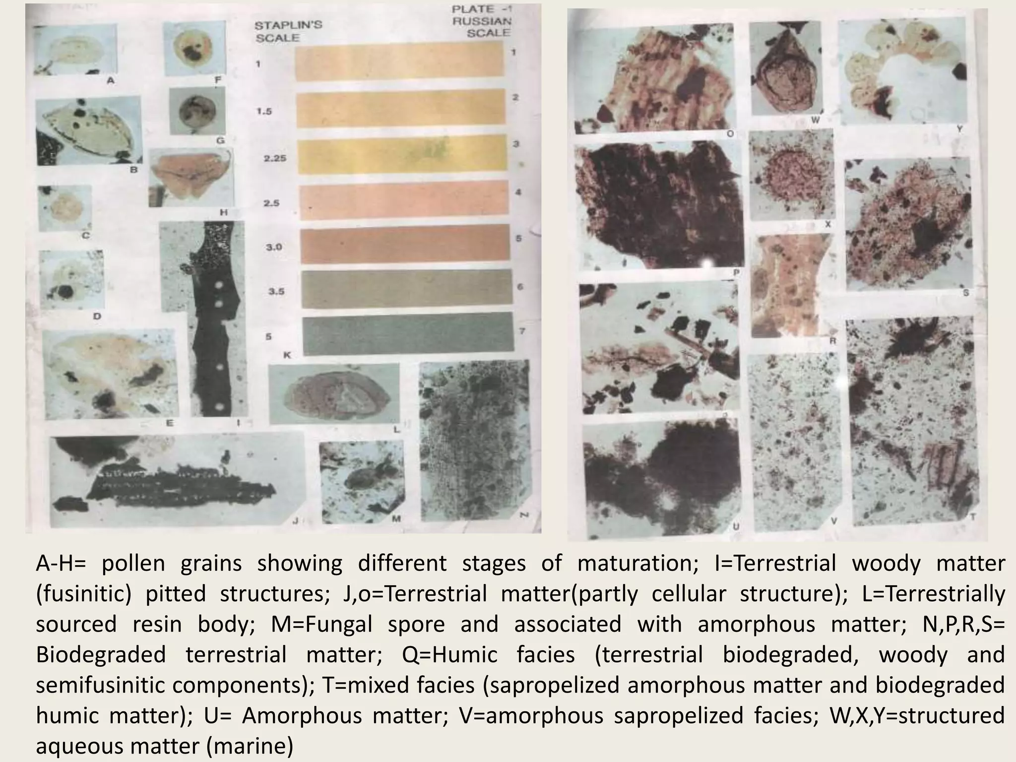 Organic maturation.pptx