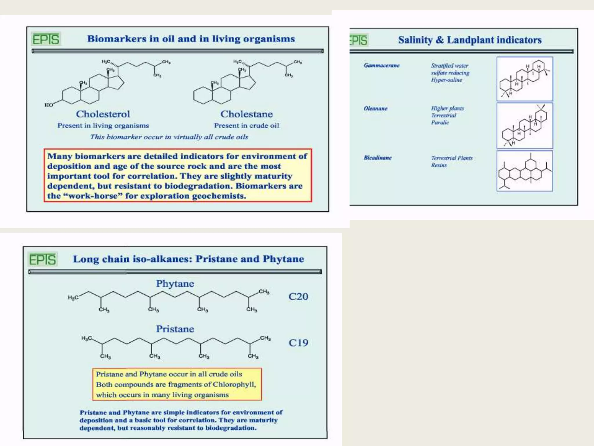 Organic maturation.pptx