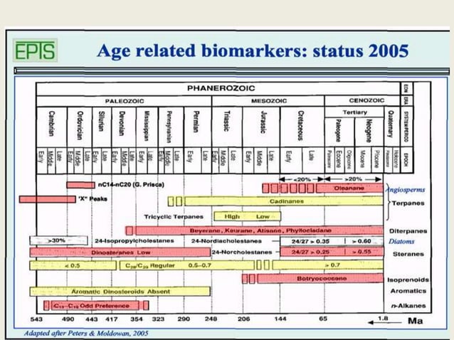 Organic maturation.pptx | Geology | Science