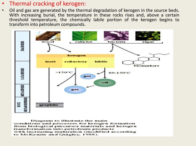 Organic maturation.pptx | Geology | Science