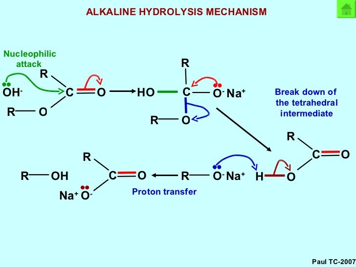 Hydrolysis Mechanism