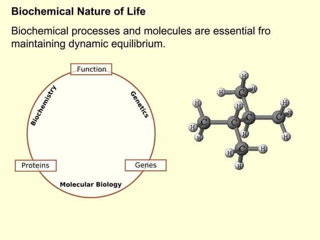 Organic Molecules | PPT