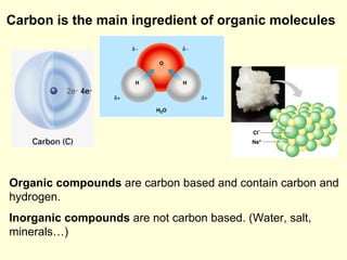 Organic Molecules | PPT