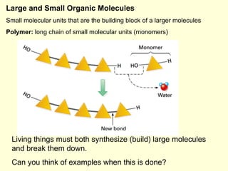 Organic Molecules | PPT