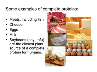Organic molecules | PPT