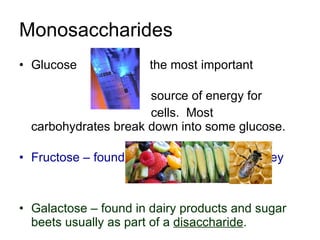 Organic molecules | PPT