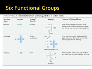 Organic molecules | PPT