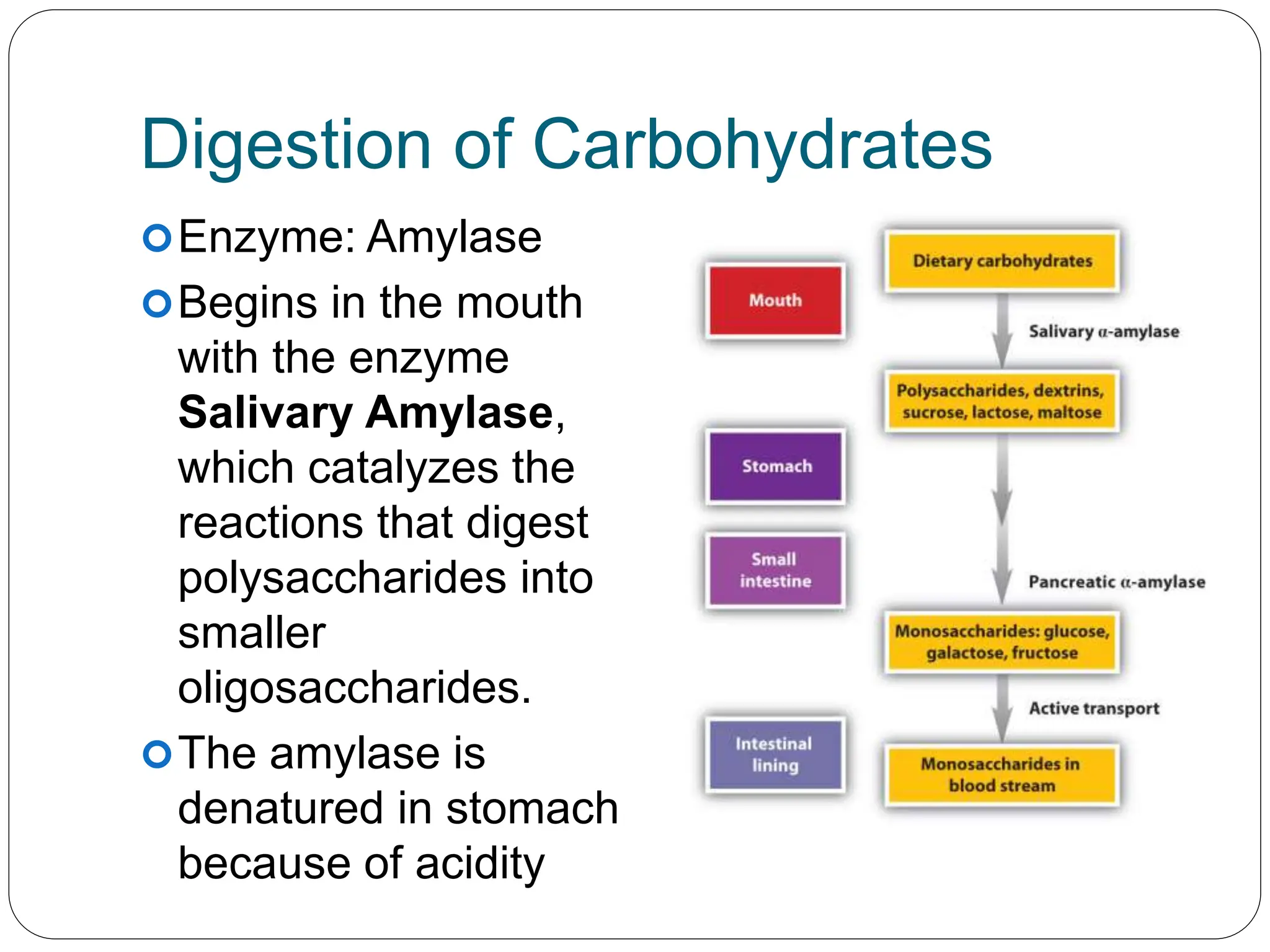 Organic molecules 1.pptkkkkkkkkkkkkkkkkkkk | PPT