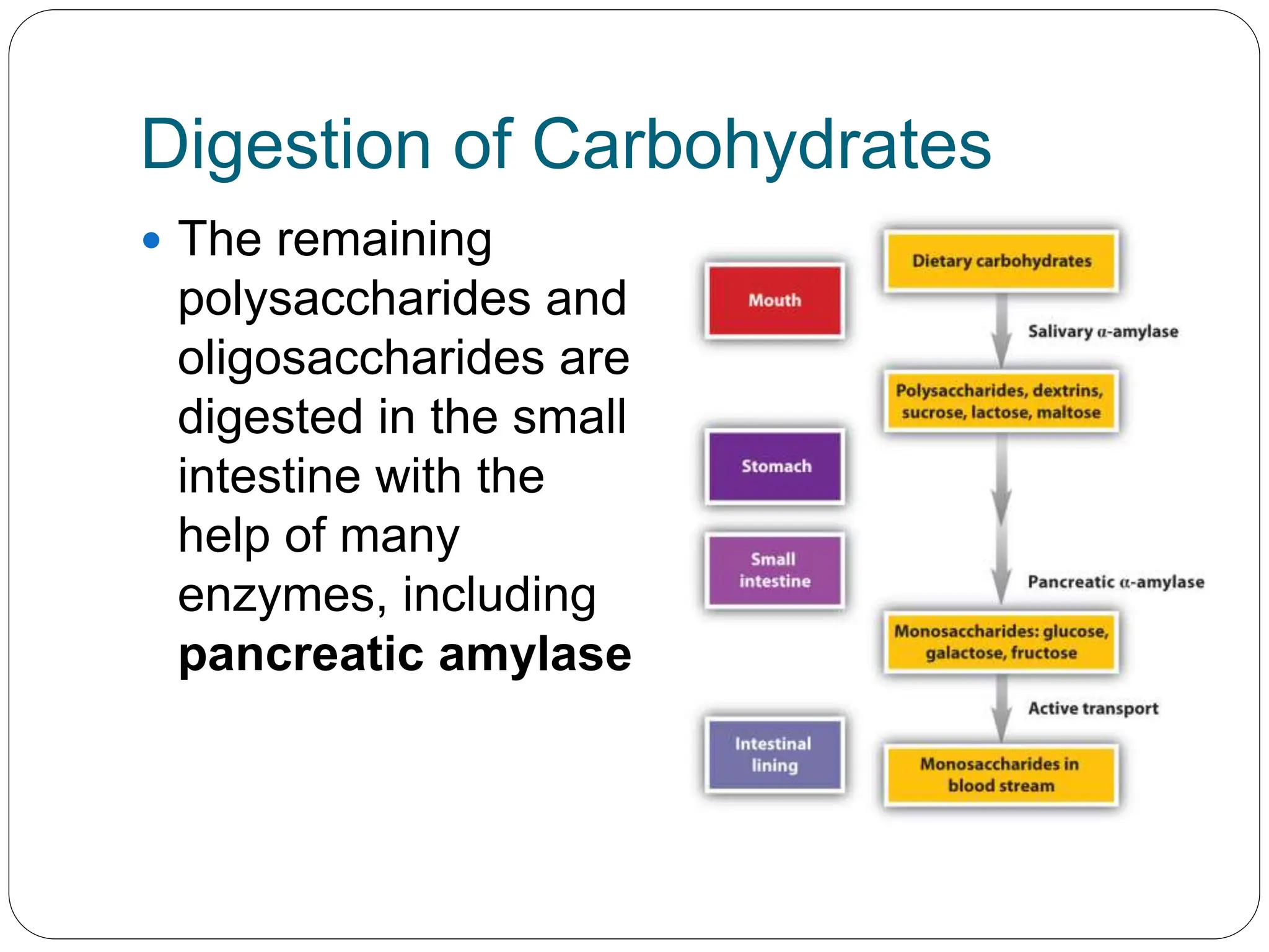 Organic molecules 1.pptkkkkkkkkkkkkkkkkkkk | PPT