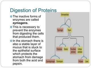 Organic molecules 1.pptkkkkkkkkkkkkkkkkkkk | PPT