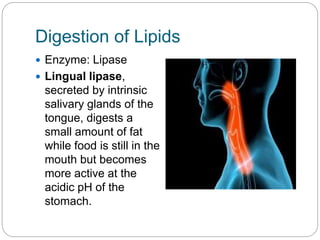 Organic molecules 1.pptkkkkkkkkkkkkkkkkkkk | PPT