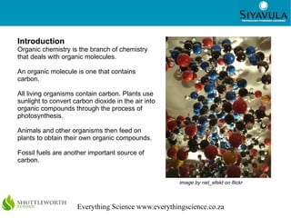 Organic molecules | ODP