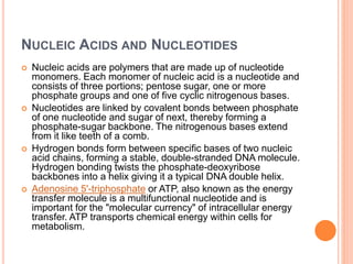 Nucleotide Food Examples