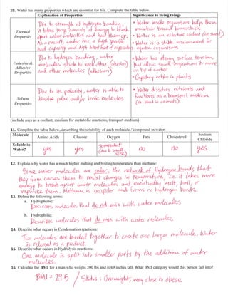 IB Organic Molecules Review Key (2.1-2.3) | PDF