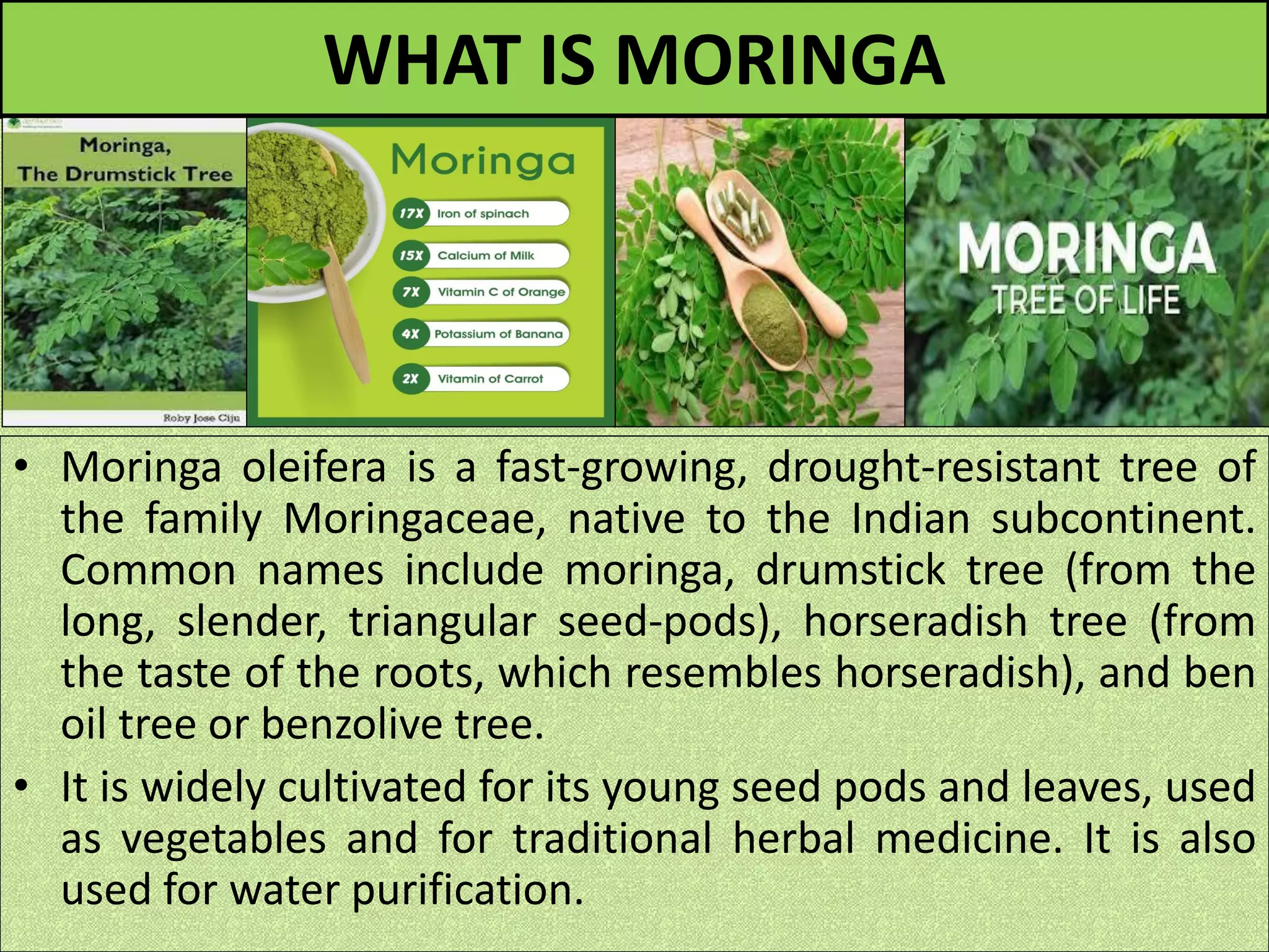 ORGANIC MORINGA PRODUCTION PROCESSING.pdf